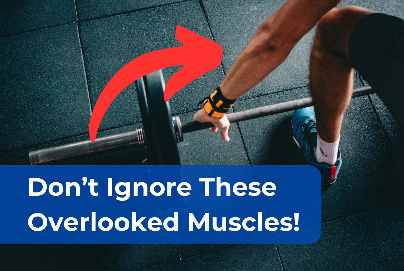 6 Overlooked Muscles That Deserve Your Attention