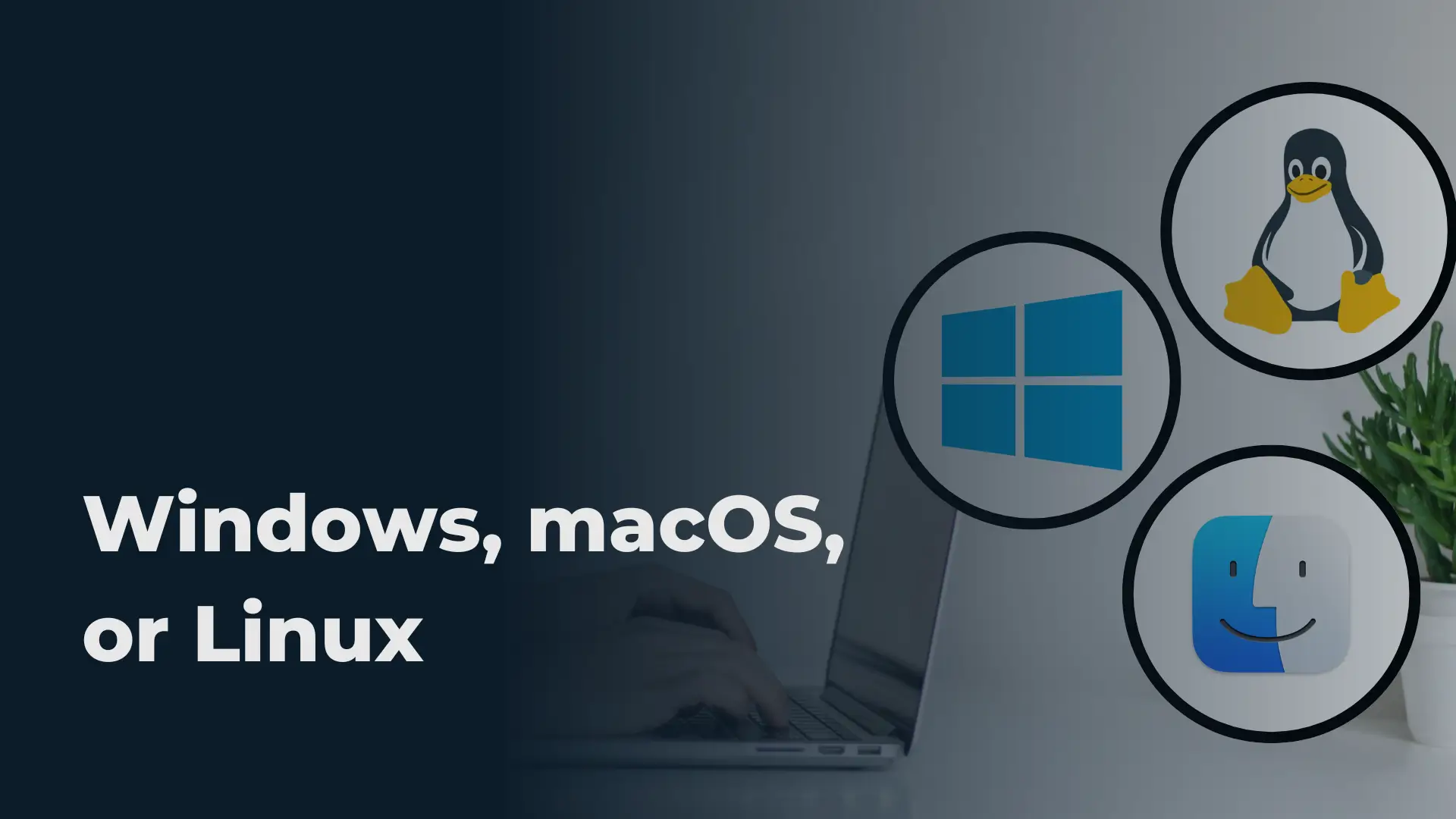 Windows, macOS, or Linux: Which Operating System Suits You Best?